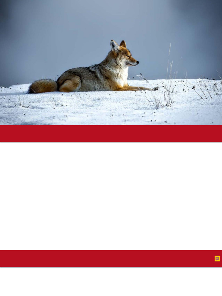 Population Ecology Pdf Ecology Ecosystem