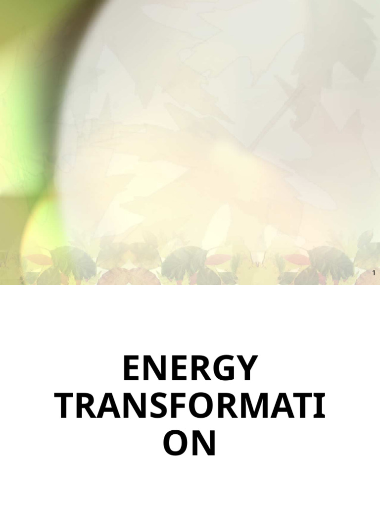 Part 1 Photosynthesis | PDF | Photosynthesis | Stoma