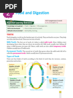 Class 4 Teeth and Their Structure Worksheet | PDF | Tooth | Tooth Enamel