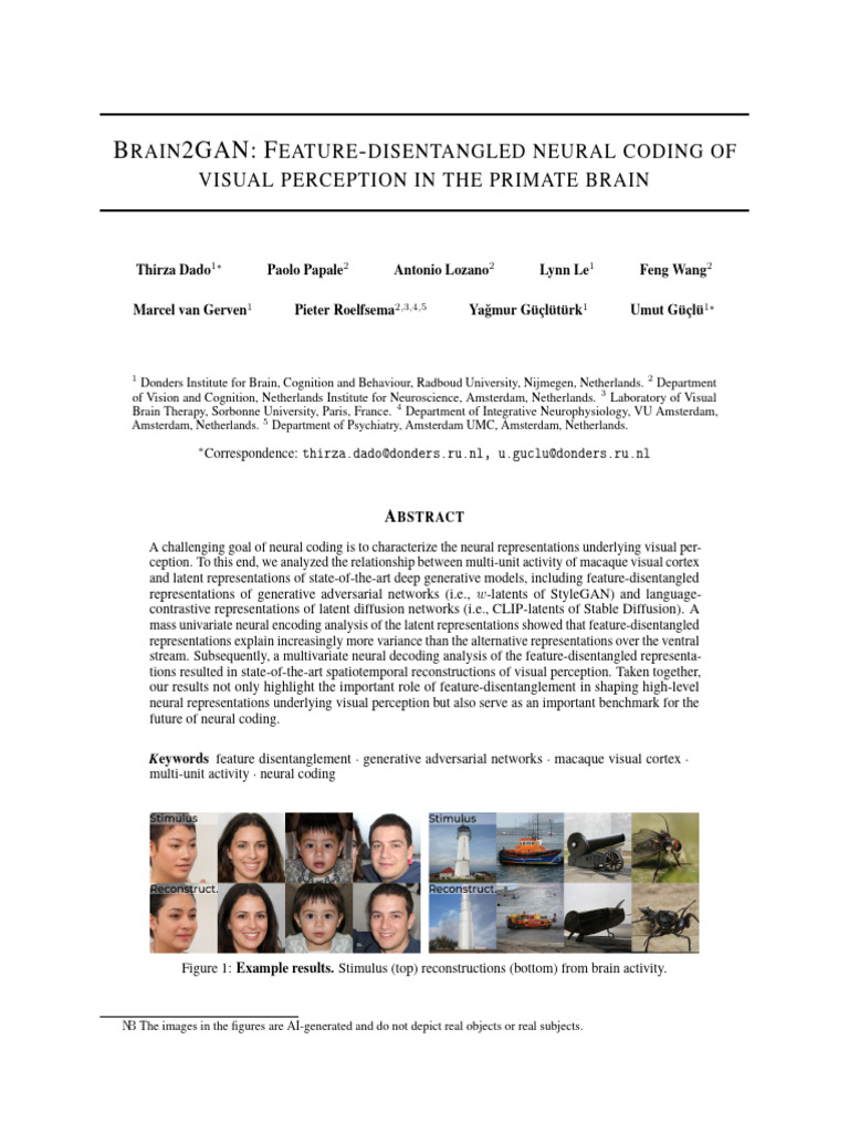 Brain2GAN_Feature-disentangled_neural_coding_of_vi | PDF | Visual Cortex | Deep Learning