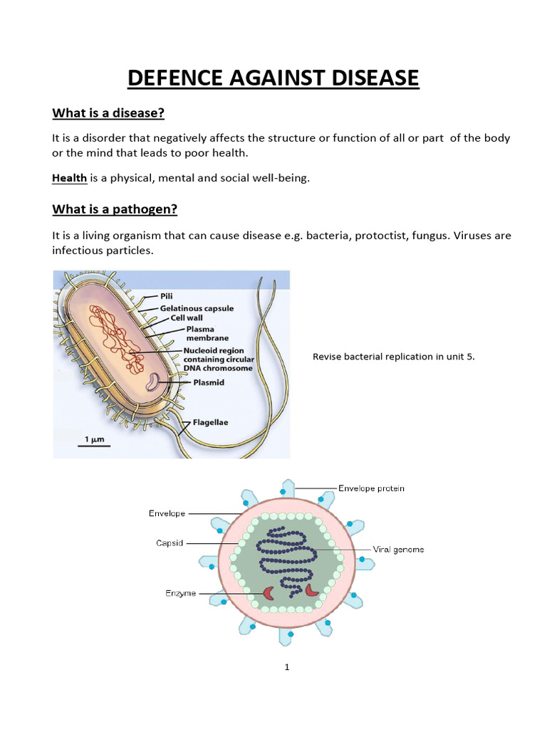 Defence Against Disease (2024) | PDF | Lymph | Vaccines