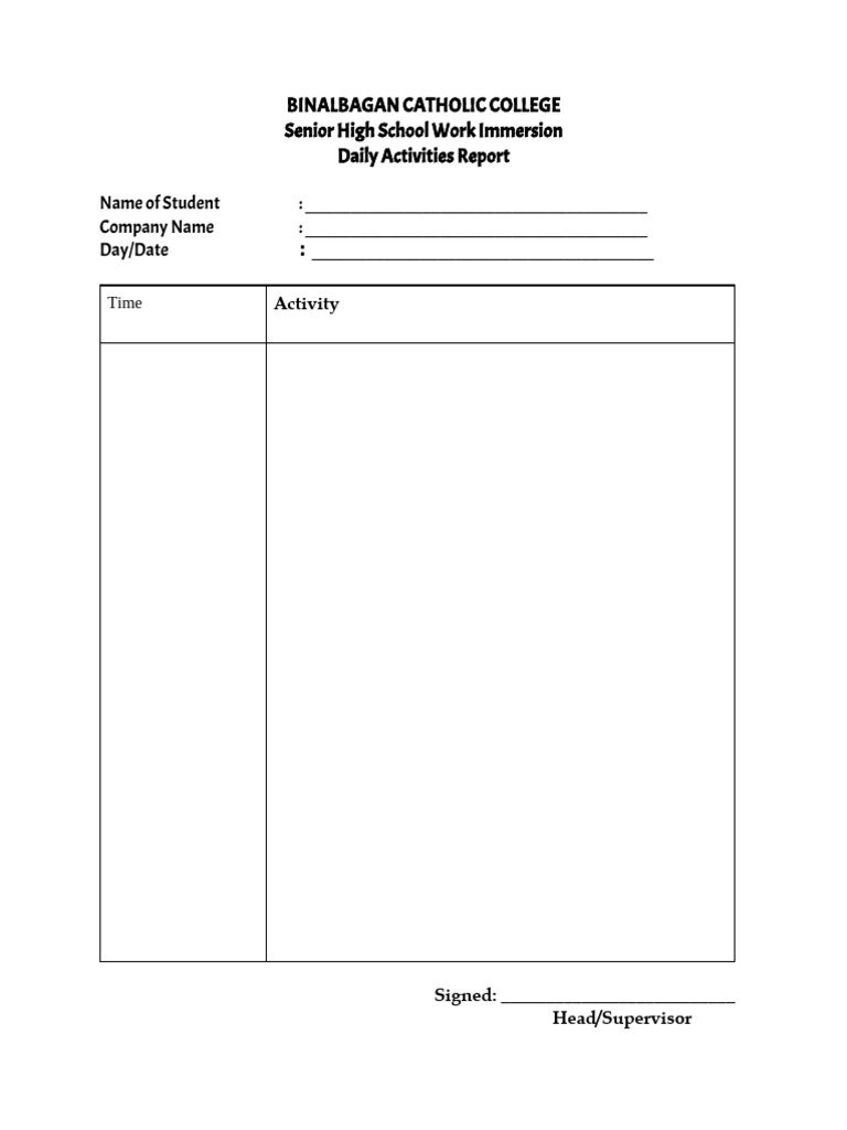 Daily Activity Report | PDF