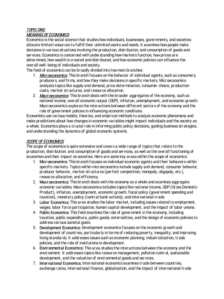 Understanding Economics: Key Concepts | PDF