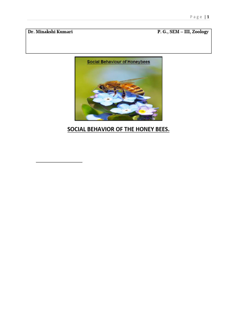Honey Bee Social Behavior Guide | PDF | Honey Bee | Beehive