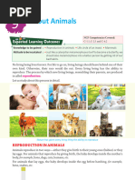 Duck Life Cycle: Stages Explained | PDF | Duck | Egg