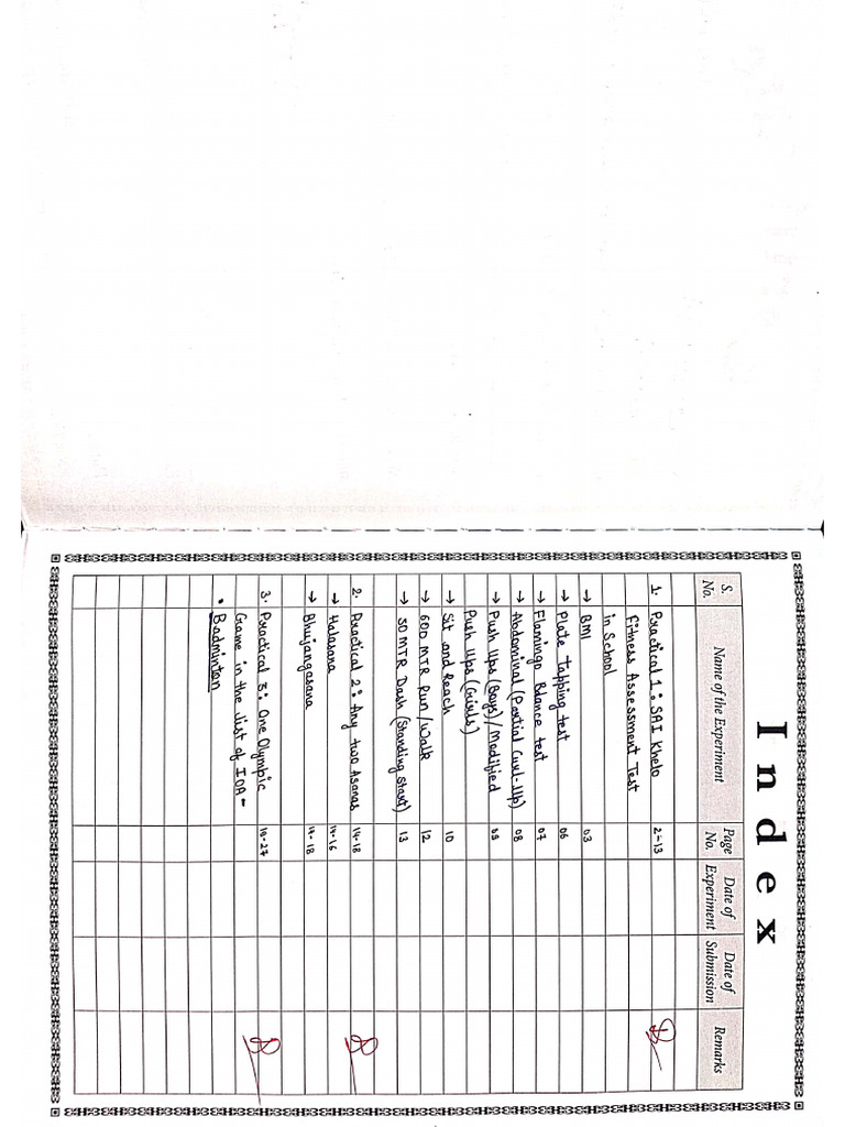 Practical File Sample | PDF