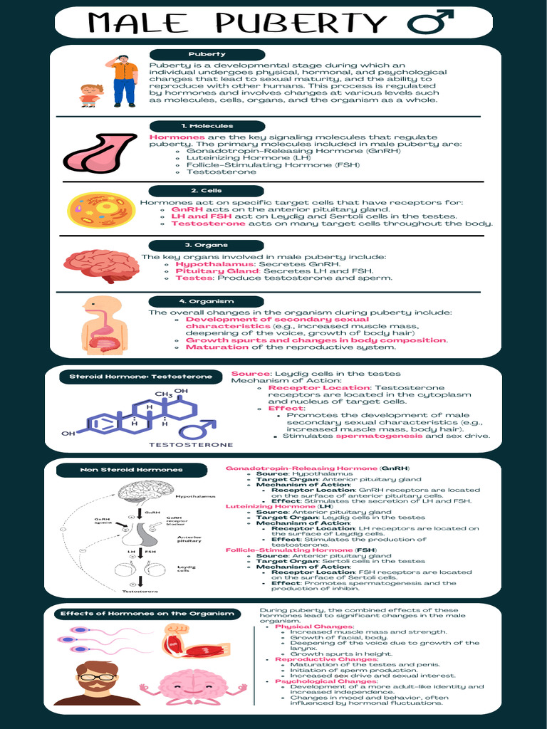 Puberty Poster - Arpon, Nate, Nirban, Arifur - 20241213 - 141720 - 0000 ...