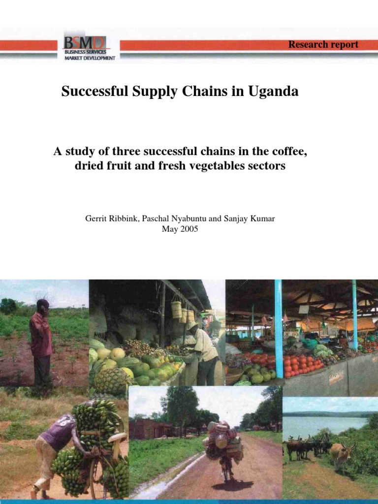 Successful Supply Chains-Report 20050607 | Download Free PDF | Supply ...