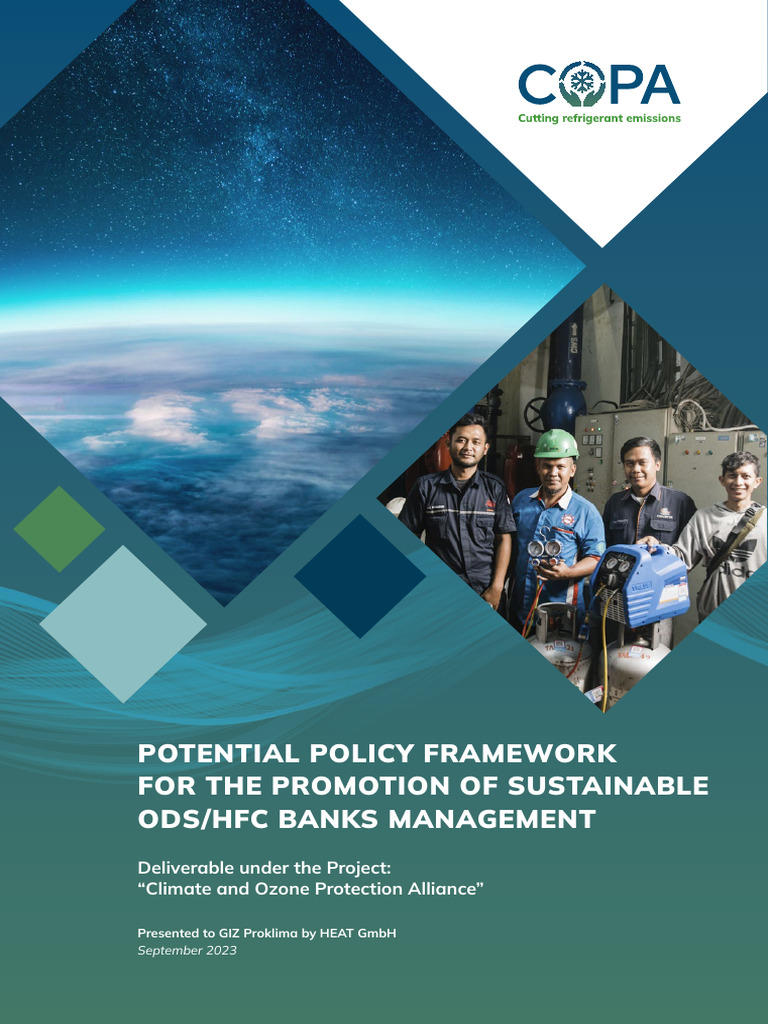 COPA Policy Framework ODS HFC Bank Management 2023 English | PDF ...