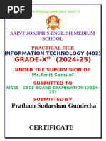 10th Practical File 2024-25 | PDF | Spreadsheet | Databases