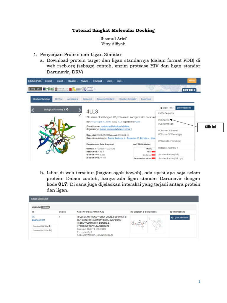 Tutorial Docking | PDF