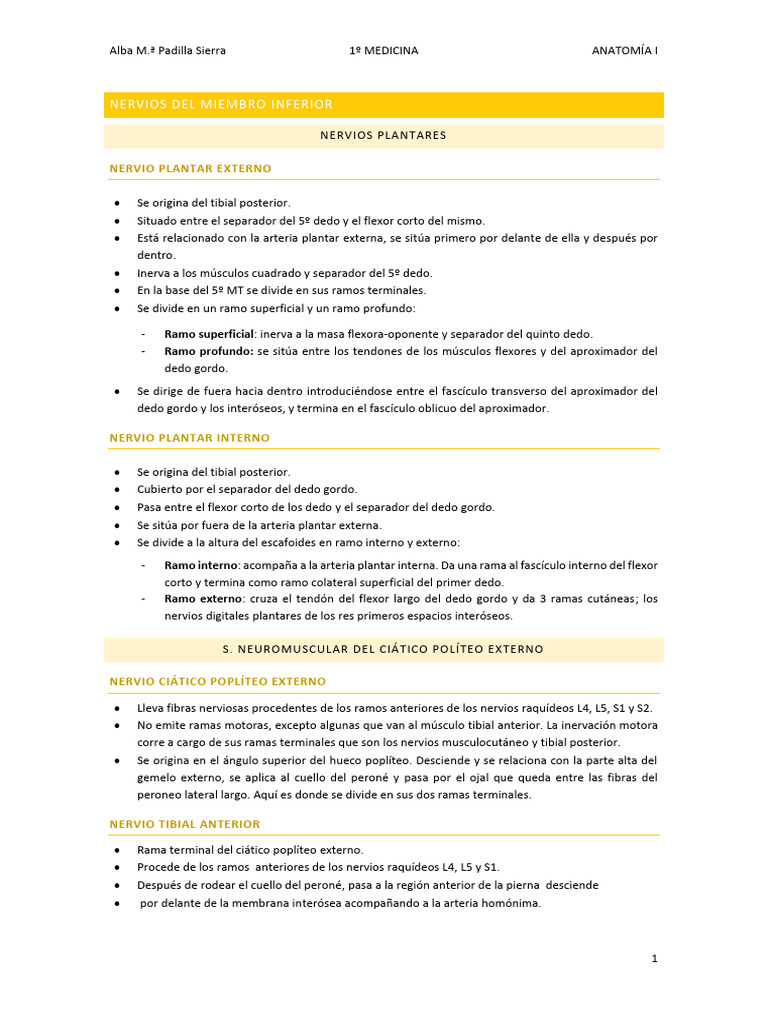 Nervios del Miembro Inferior | PDF | Anatomía del miembro inferior ...