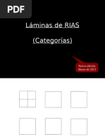 Rias Protocolo Completo | PDF