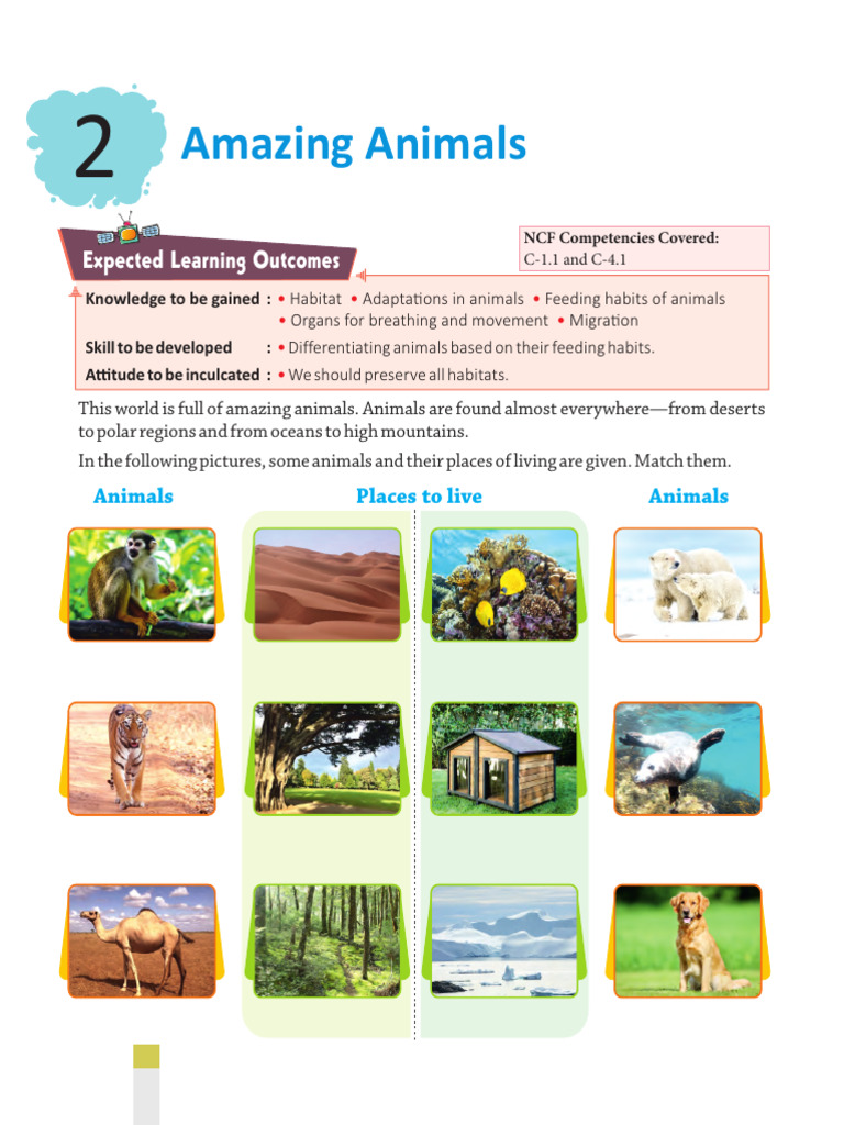 Exp Sc 5 -- Chapter 2 | PDF | Bird Migration | Zoology