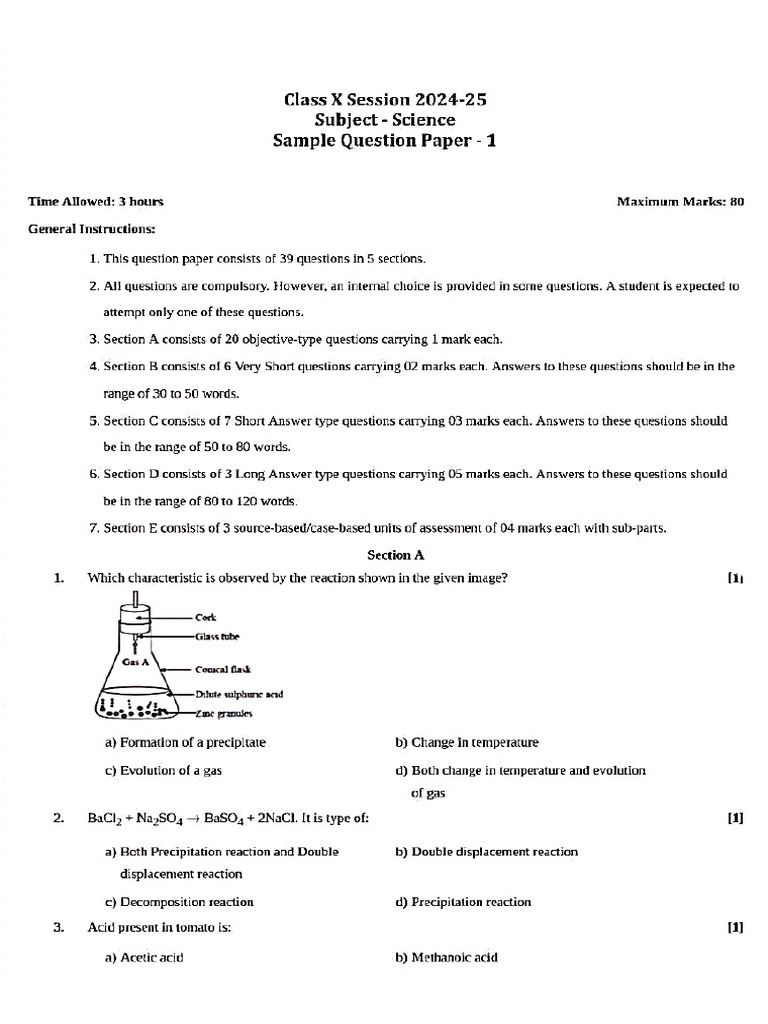 Sample Paper 6 | PDF