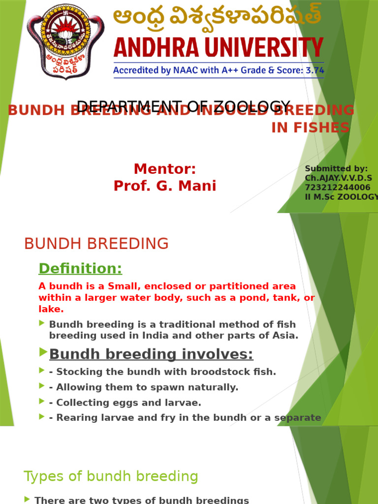 Bundh & Induced Fish Breeding Guide | PDF | Pituitary Gland | Gonadotropin