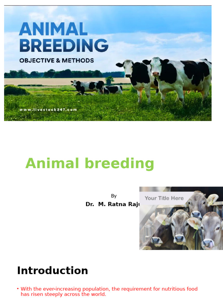 Animal Breeding | PDF | Animal Breeding | Sheep