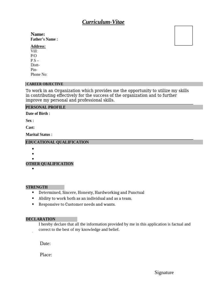 Bio Data Blank | PDF