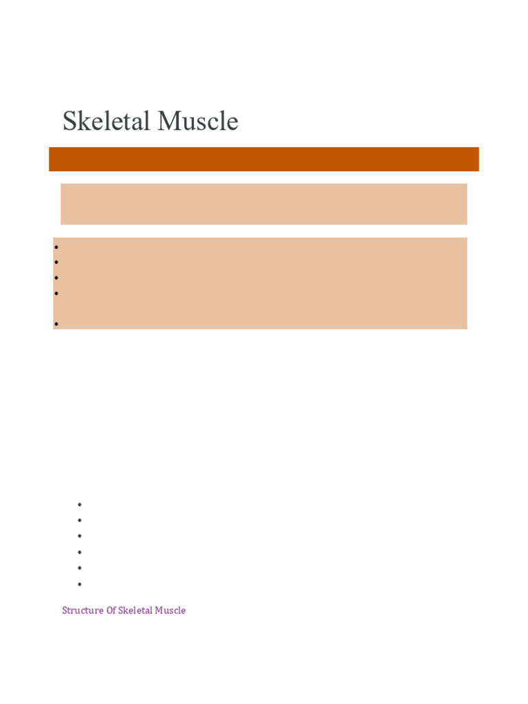 Skeletal Muscle Notes | PDF | Muscle Contraction | Skeletal Muscle
