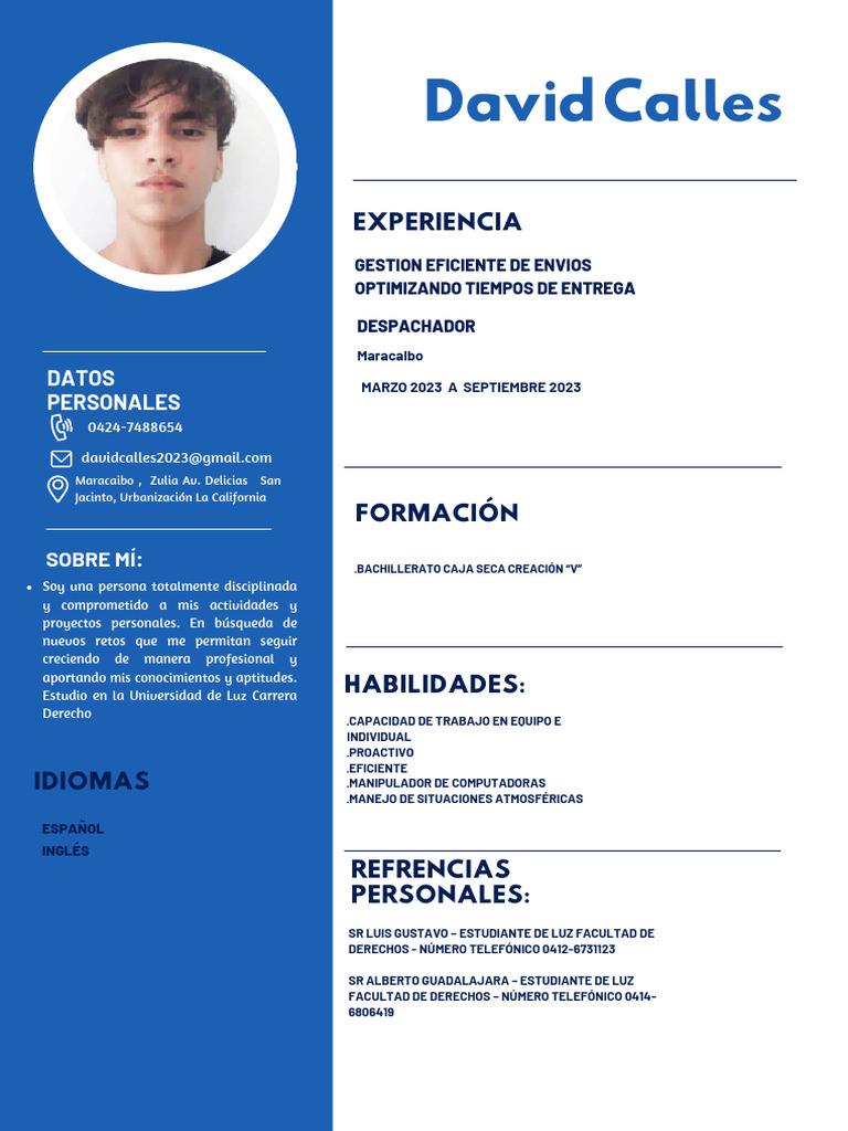 Curriculum David | PDF