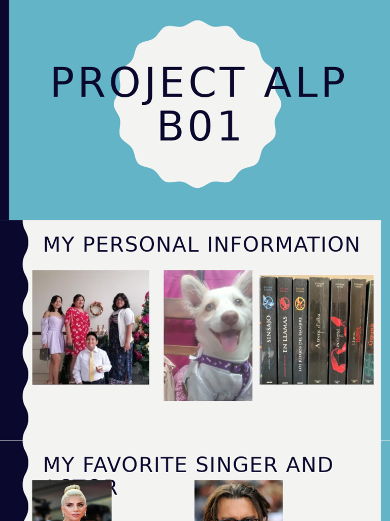 Project Alp | PDF