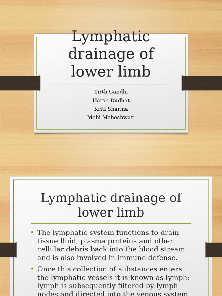 Lymphatic Drainage of Lower Limb | PDF | Lymph | Lymphatic System