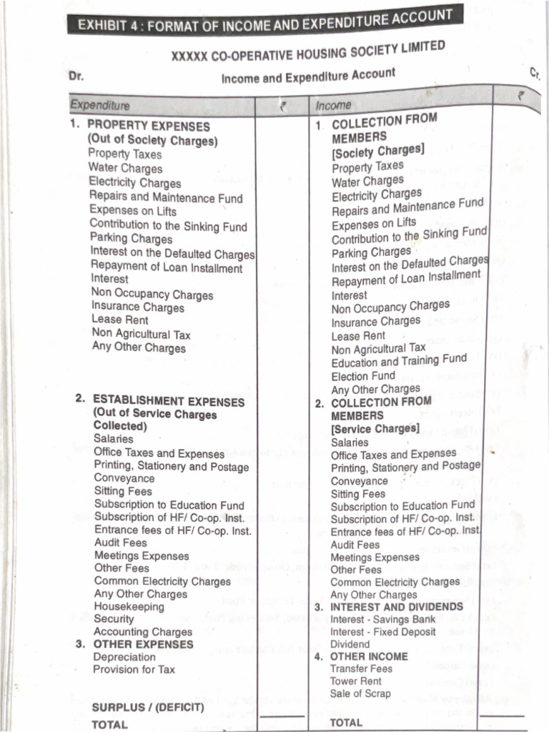 Format - Final Accounts of Cooperative Housing Society | PDF
