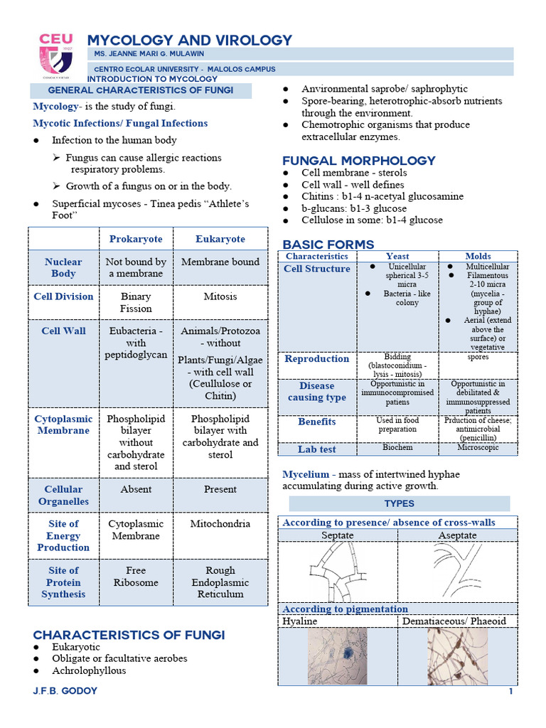 Mycology and Virology - 001 | PDF | Fungus | Cell (Biology)