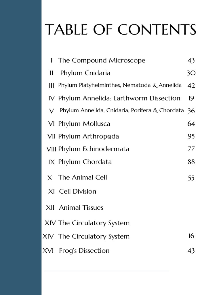 Blue and White Simply Neutral Table of Contents Book Page | PDF