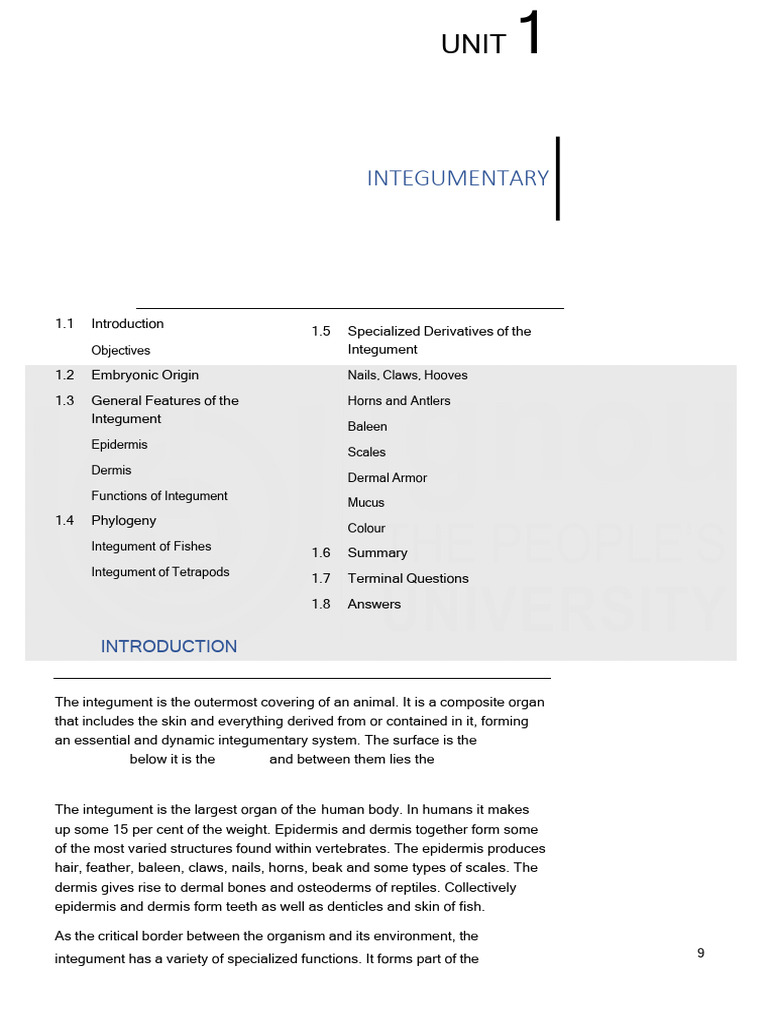 UNIT-1-integumentary-system | PDF | Integumentary System | Skin