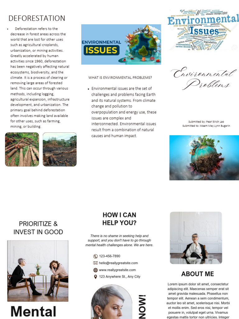 Brochure | PDF | Deforestation | Ecology