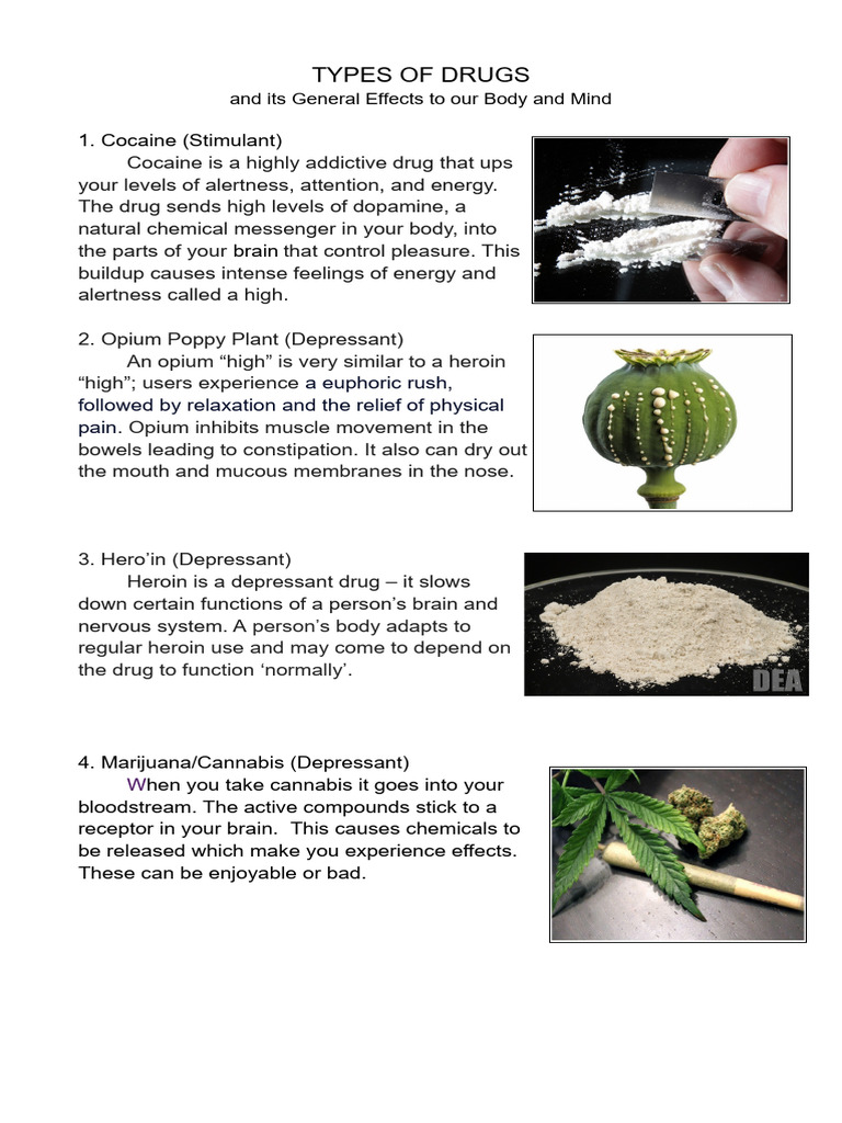 Effects of Common Drugs on Body & Mind | PDF