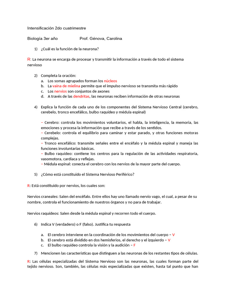 Intensificación 2do Cuatri BLG 3ro) | PDF | Sistema nervioso | Cerebro