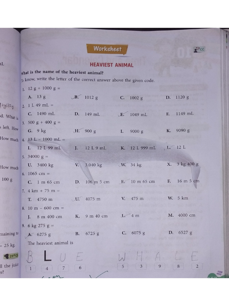 Worksheet & Warm Up | PDF