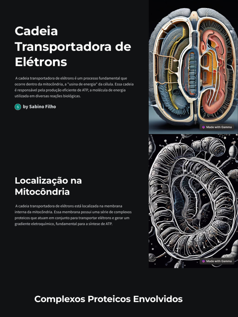 Cadeia Transportadora de Elétrons e ATP | PDF | Trifosfato de adenosina ...
