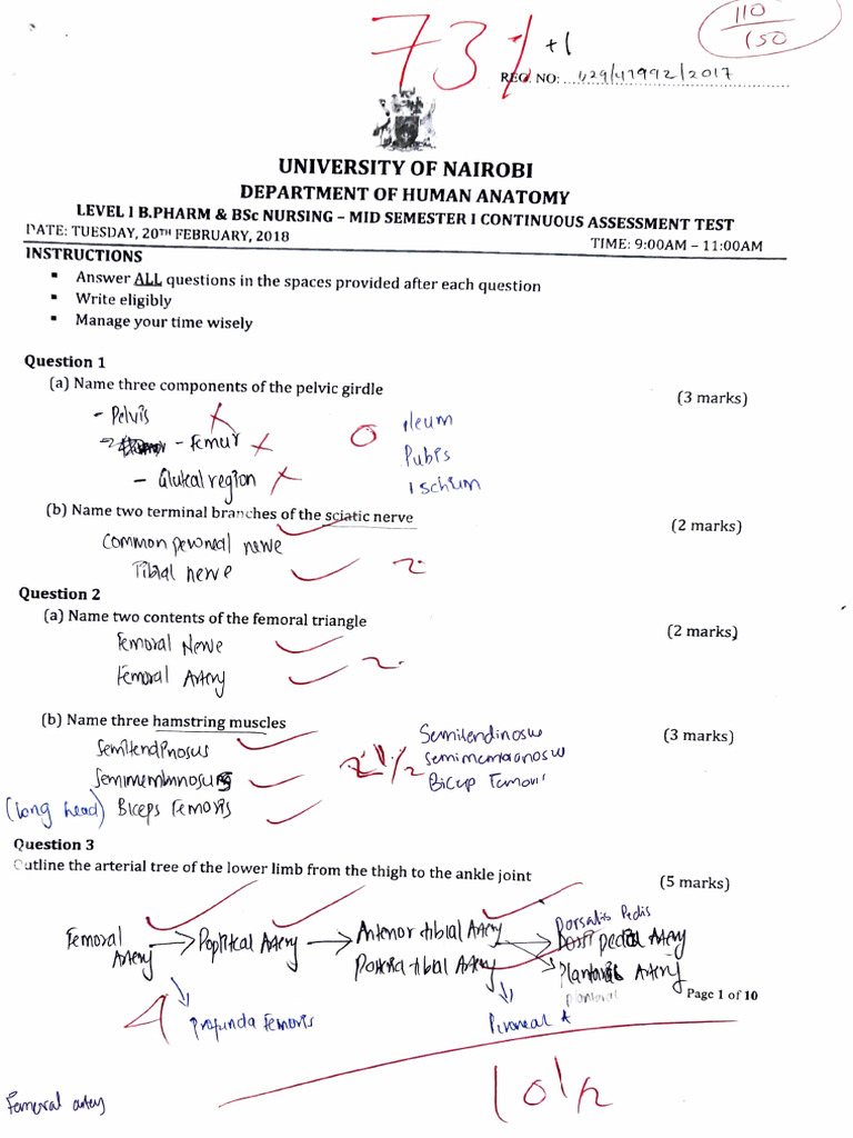 SAQ - 20 February, 2018 (1) 2 | PDF | Epithelium | Limbs (Anatomy)