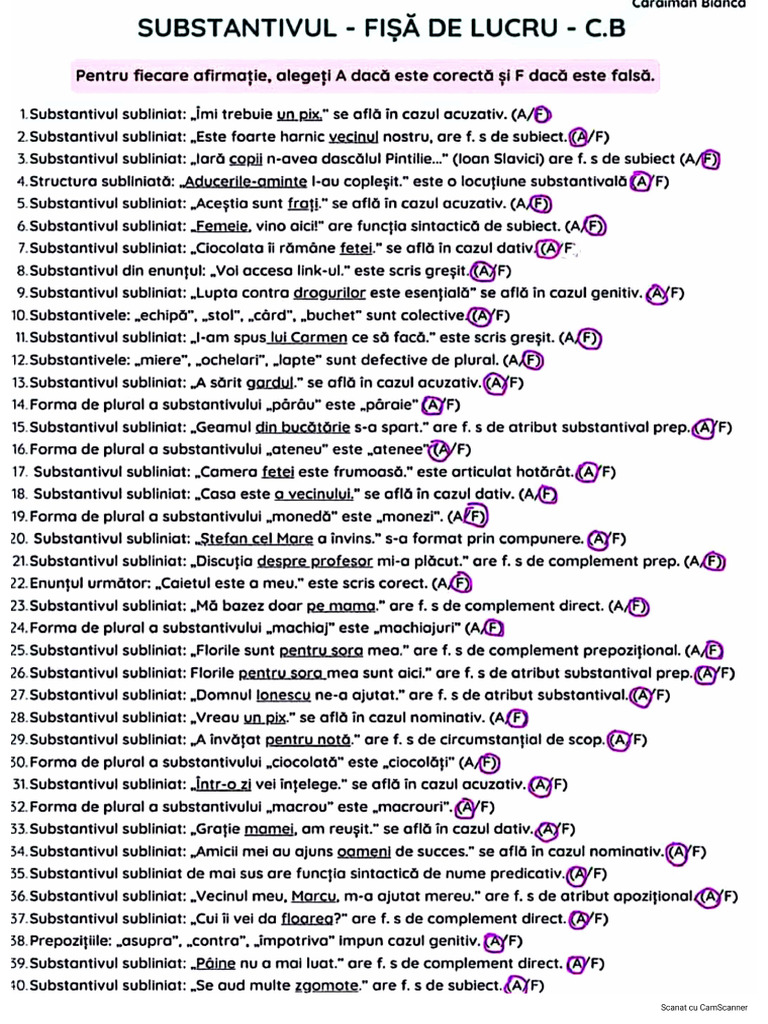 Fise Lucru Elena | PDF