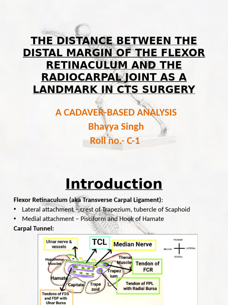 Flexor Retinaculum of Hand Presentation | PDF | Musculoskeletal System | Limbs (Anatomy)