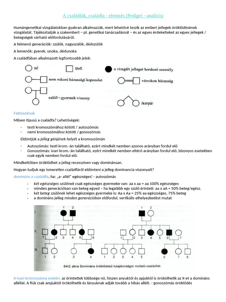 Csaladfa | PDF