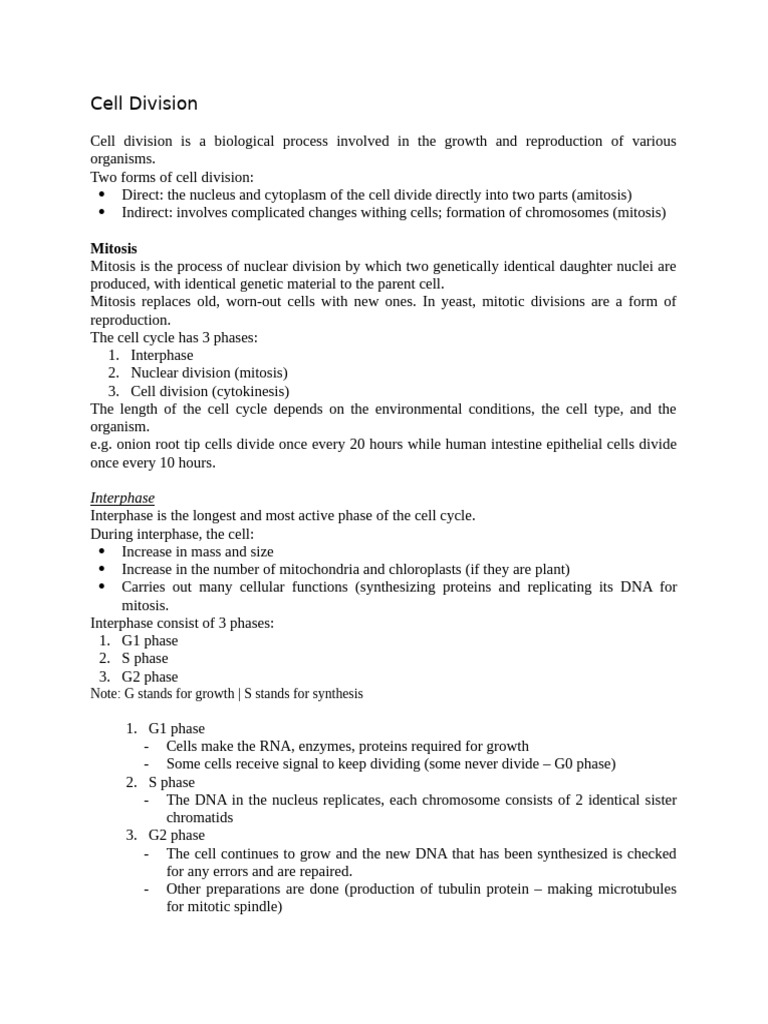 Cell Division Revision | PDF | Mitosis | Cell (Biology)