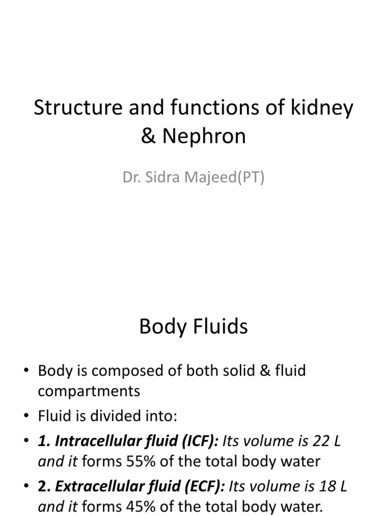 Structure and Function of Kidney and Nephron ... DR Mazhar 03066980980 | PDF | Kidney ...