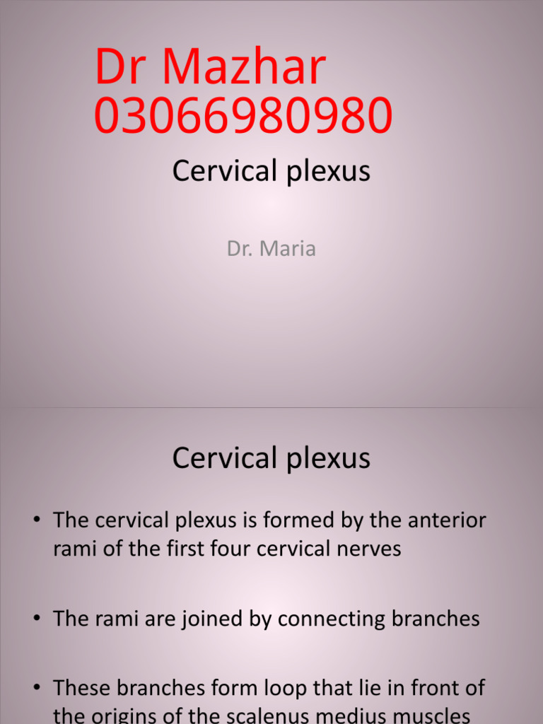 Overview of the Cervical Plexus | PDF