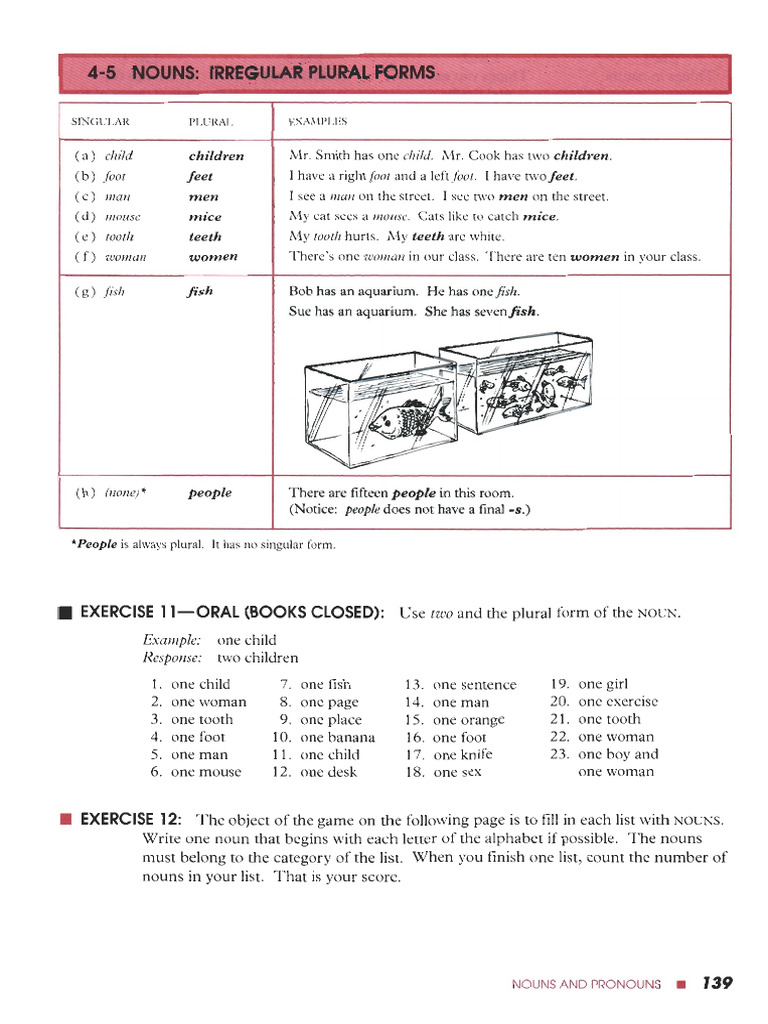 Basic English Grammar 150 | PDF