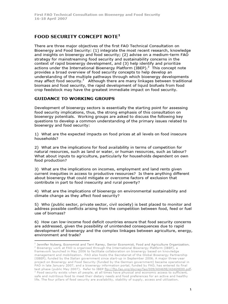 FAO Consultation on Bioenergy & Food Security | PDF | Food Security ...