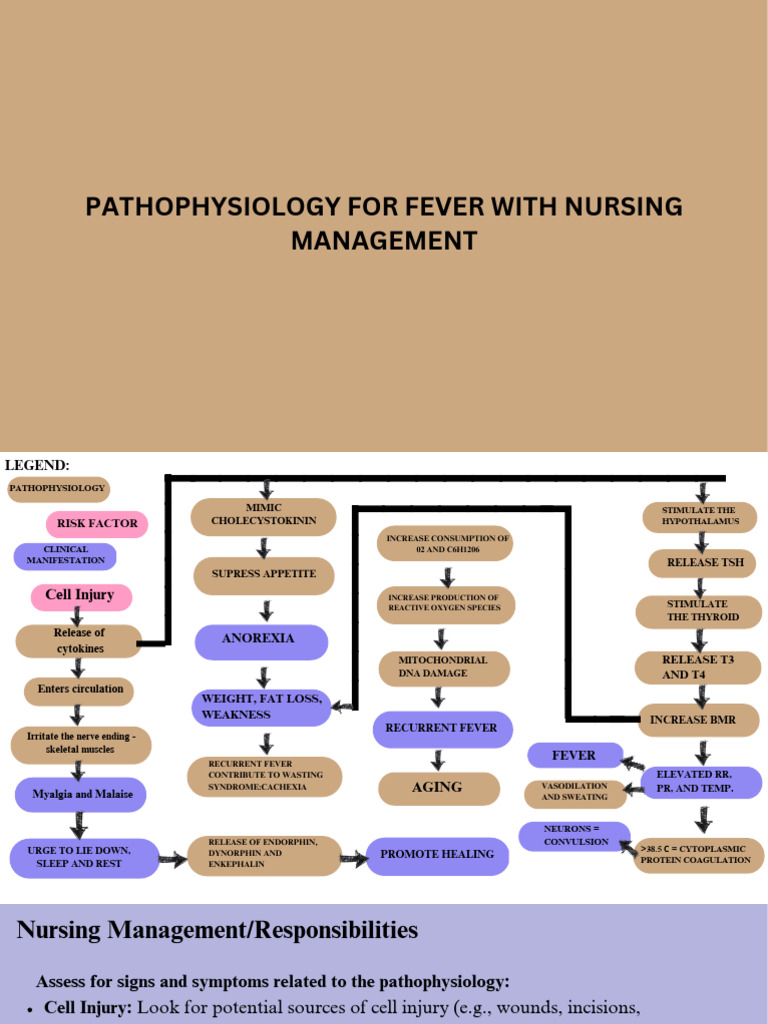 Pathophysiology (Fever & Inflammation) | PDF | Inflammation | Fever