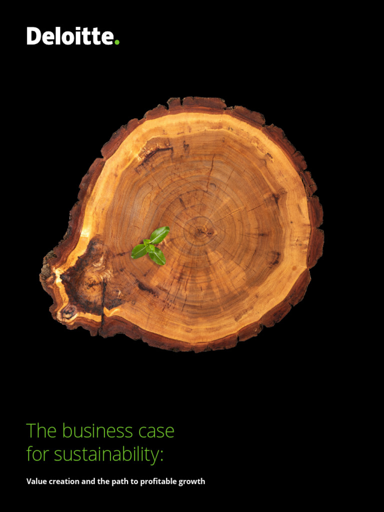 Us Business Case Sustainability 061224 | PDF | Sustainability | Supply Chain