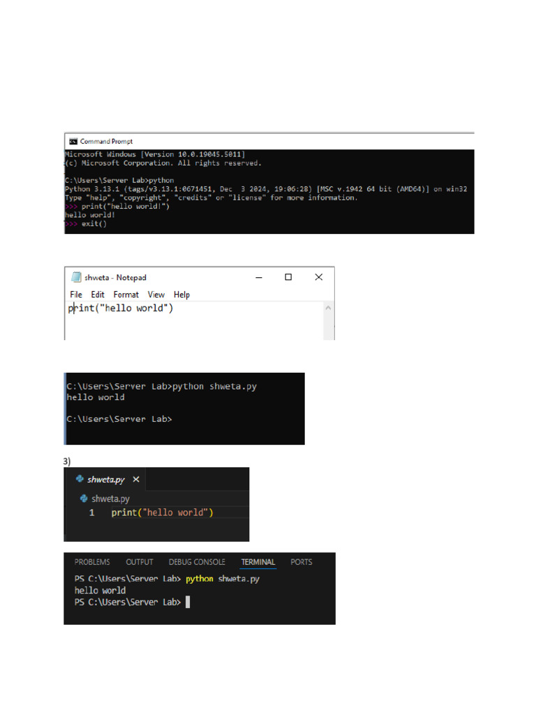 Python Pr1 Shweta | PDF