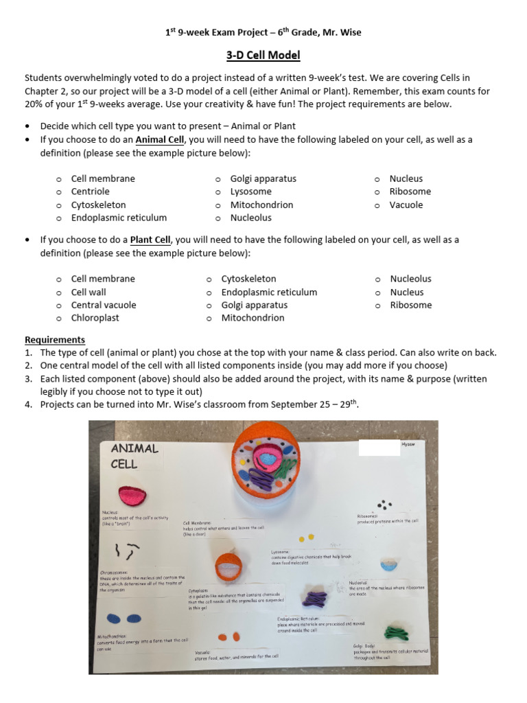 6th Grade 3-D Cell Model Project | PDF