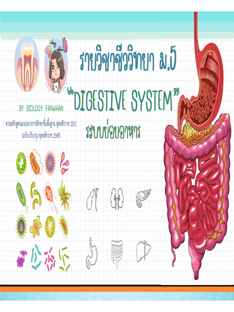 1 Digestion Slide | PDF