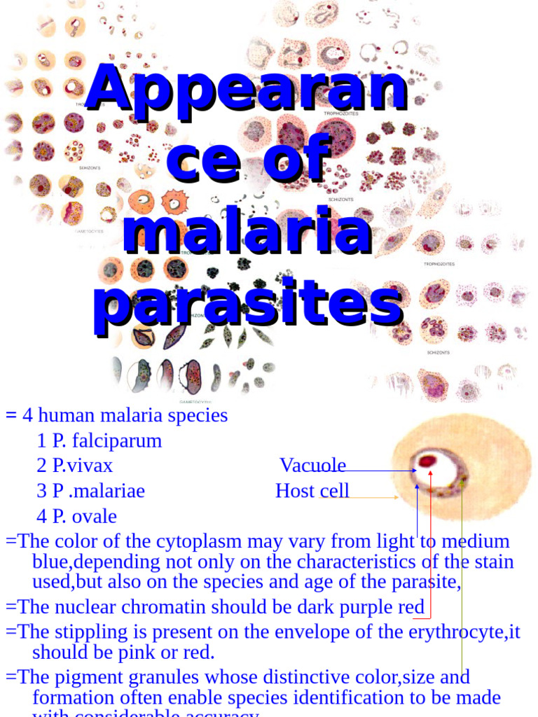 Malaria Parasite Species Overview | PDF | Plasmodium | Plasmodium ...